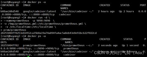 Docker容器监控：cadvisor Prometheus Grafana的安装部署 使用docker部署prometheus Cadvisor Grafana实现服务器监控 Csdn博客