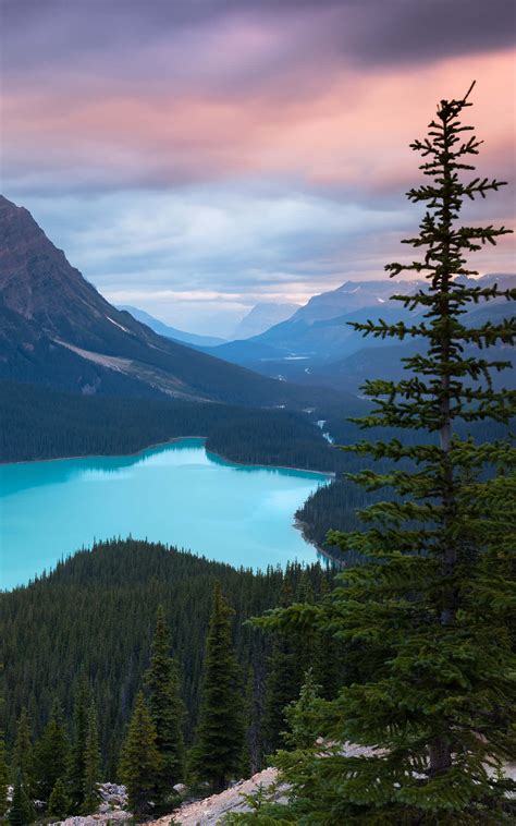 100 Portrait Mode Wallpapers