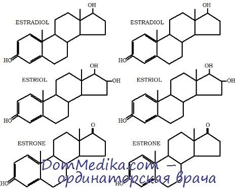 Эстрогены и их синтез. Роль печени в обмене женских половых гормонов
