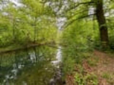 Bitlocker 回復キーって何？ 内的自己対話―川の畔のささめごと