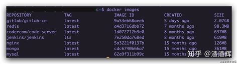 Docker下gitlab安装配置与使用 知乎