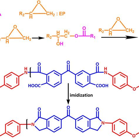 The Reaction Scheme For The Epoxy Resin Modified By Paa Download Scientific Diagram