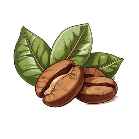 Coffee Bean Clipart Coffee Clipart Coffee Coffee Bean Png