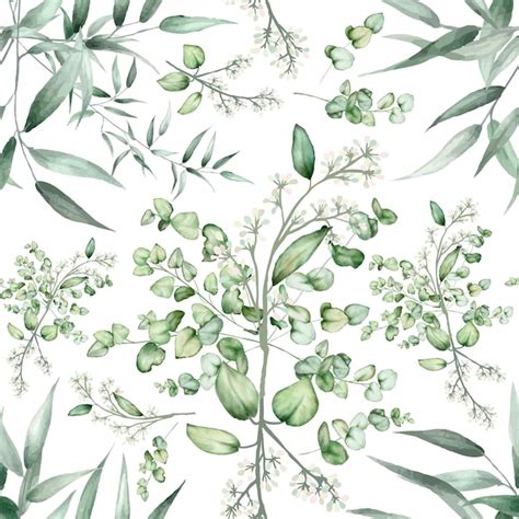 Premium Vector Elegant Hand Drawing Eucalyptus Leaves Pattern