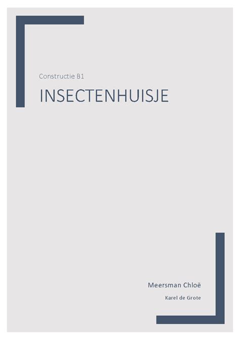 Insectenhuisje Geen Idee Wat Je Kan Maken Voor Het Vak Techniek