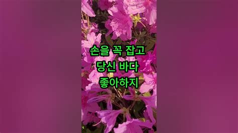 시어머니의 환갑 여행에 온 가족의 사랑의 꽃이 피었습니다실화사연 나팔신사 며느리사연 며느리 시댁사연 감동사연 시어머니 시어머니사연 시아버지 환갑잔치