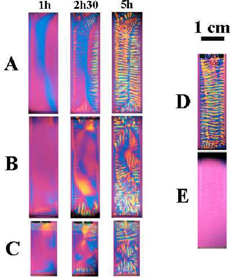 Development Of Self Organised Morphologies Prepared By Assembling Download Scientific Diagram