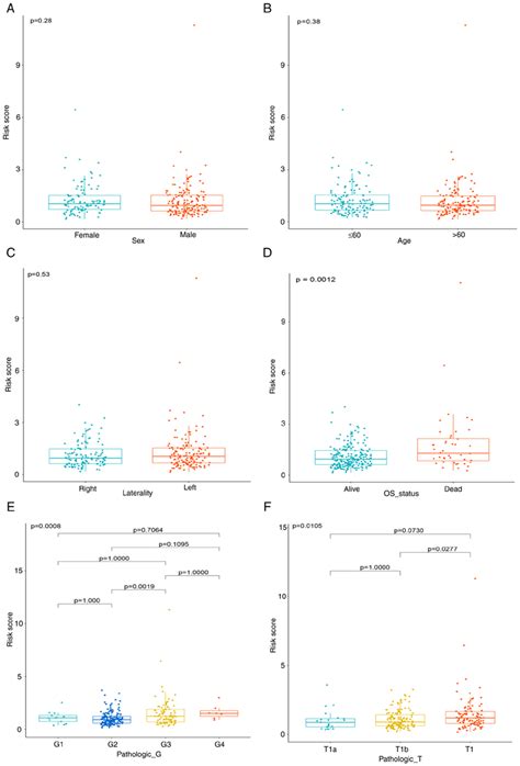 The Relationship Between Risk Score And A Sex B Age C Tumor Download Scientific Diagram