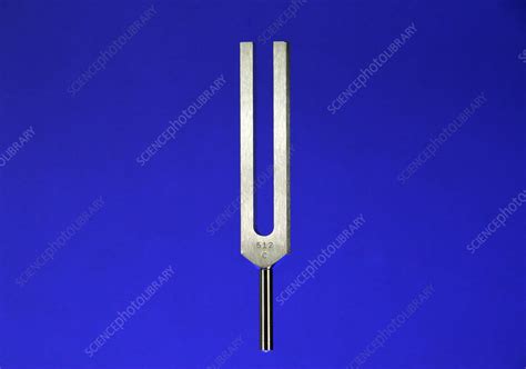 Tuning Fork Stock Image F Science Photo Library