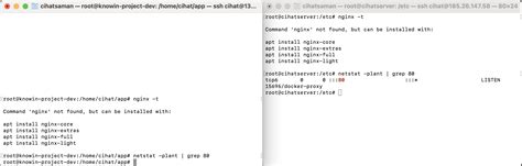 Linux Nginx With Docker Nginx Emerg Unknown Directive Enable In Etc Nginx Nginx Conf