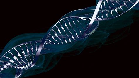 Science And Environment The Ripple Effect Vision