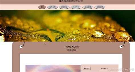 node js毕设城市养老服务预约系统程序 论文 csdn博客