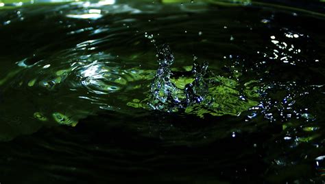 Безплатна снимка : вода, природа, изпускайте, слънчева светлина, листо ...
