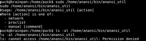 ctf brainpan 1 ctf walkthrough introduction to exploit development