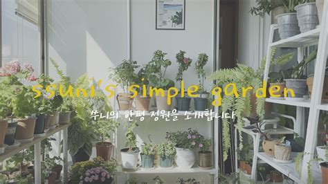 [쑤니의 한평정원] 우리집 정원을 소개합니다 홈가드닝 베란다정원소개 싱고니움 제라늄 Youtube