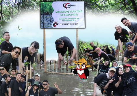 Planting Mangroves For A Better Future Integrity Asia