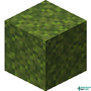 Moss Block How To Craft Moss Block In Minecraft Minecraft Wiki