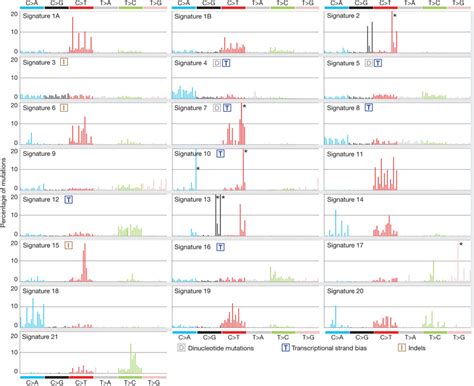 Hands On With Cancer Mutational Signatures