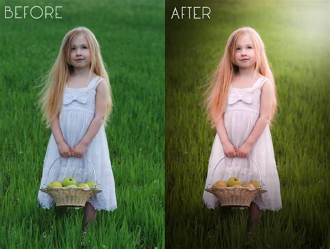 do any photoshop work within 7 hours as per demand by lady dynamite