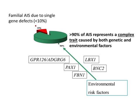 Genetic Predisposition For Ais Under Perspective Of A Complex Trait Download Scientific Diagram