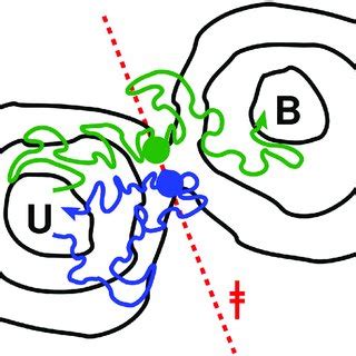 Diagram Of Transition Path Sampling Scheme Used A Dividing Surface Download Scientific Diagram