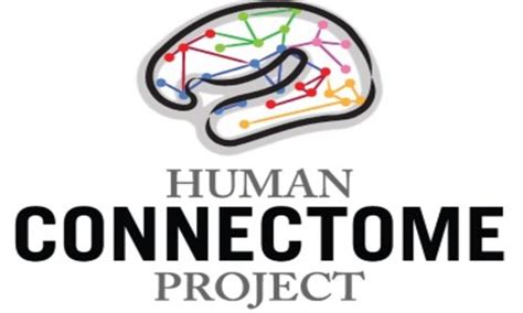 Human Connectome Project Hcp چیست؟ آکادمی آنلاین مهندسی پزشکی و هوش مصنوعی