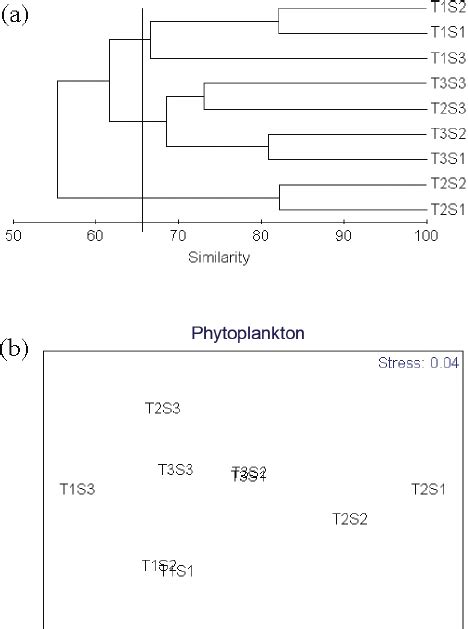 cluster a and non metric multidimensional scaling nmds b analysis