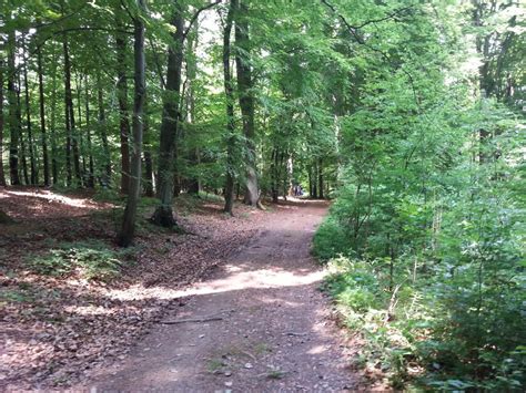 New Implementation Of Neural Algorithm Of Artistic Style Torch Vgg17 Net Rmachinelearning