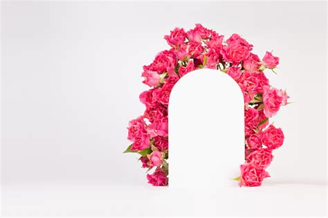 신선한 분홍색 장미는 화장품이나 상품 복사 공간을 위해 추상적 인 흰색 장면 모형에 아치의 프레이밍으로 제공됩니다 광고 디자인을위한 밝은 낭만적 인 여름 템플릿 가벼운에