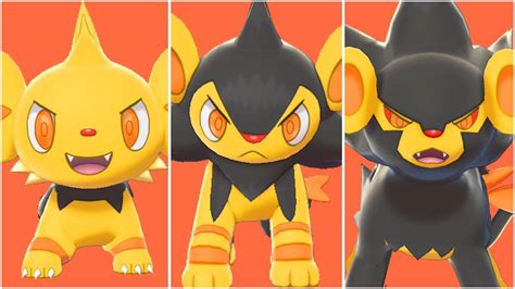 Full Shinx Evolution Team Shiny Shinx Shiny Luxio Shiny Luxray Youtube