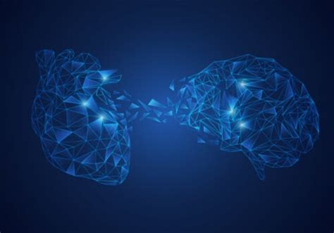 Neurovisceral Integration Model The Brain Heart Connection