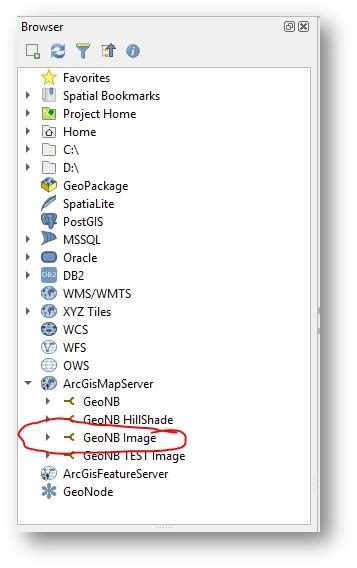 Transparency Problem With No Data Pixels In Arcgis Mapserver Layer