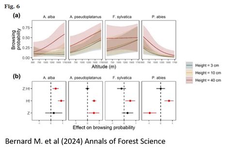 Elevation Affects Both The Occurrence Of Ungulate Browsing And Its Effect On Tree Seedling