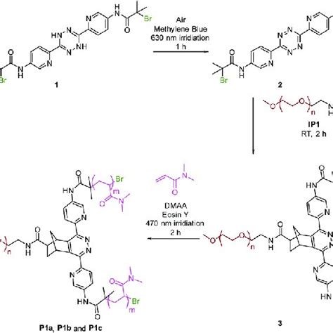 Synthesis Of Star Polymers From Different Macro Initiators A And Download Scientific
