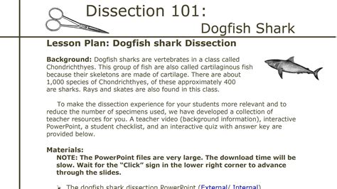 Dissection 101 Dogfish Shark Dissection Lesson Plan Pbs Learningmedia