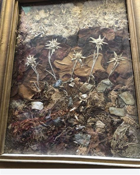 Картини — ціна 200 грн у каталозі Картини Купити товари для дому та