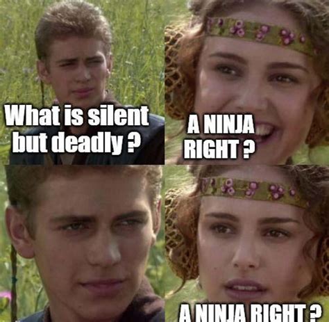 The 24 Funniest Ninja Memes Ranked