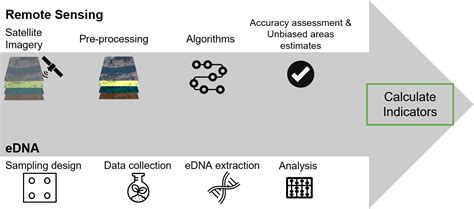 Coupled Approach To Monitoring Biodiversity Impact