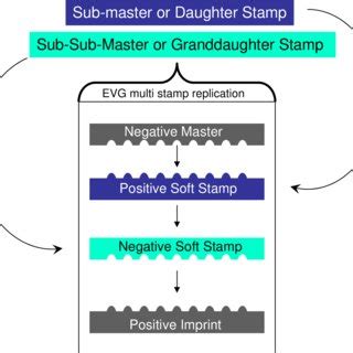 Replication Process For A Lineage Of Working Stamps From A Hard Master Download Scientific