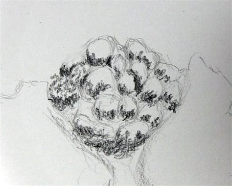 How To Draw A Tree With Leaves In A Surprisingly Familiar Way Let S