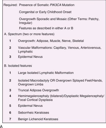 Peripheral Vascular Anomalies Malformations And Vascular Tumors Clinical Tree