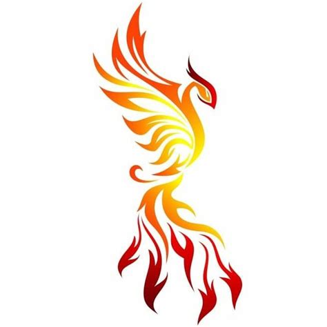 سیمرغ سلامت و زیبایی