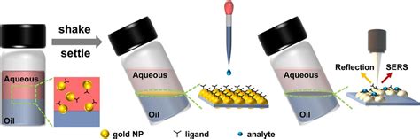 Plasmonic Array At The LiquidLiquid Interface A Dual Mode Optical Sensing Platform For