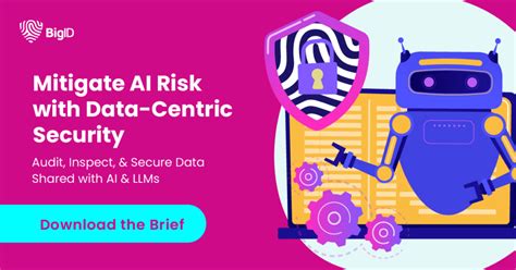 Eliminate Blind Spots In Your Ai Data Security Achieve Complete Ai Visibility With Bigid Bigid