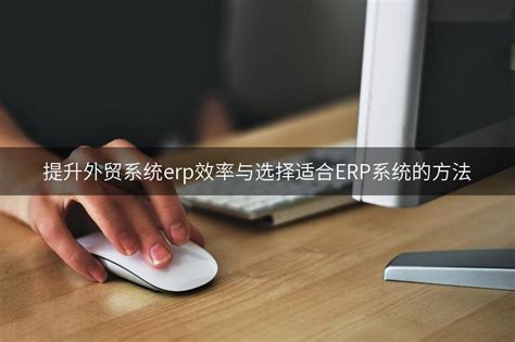 提升外贸系统erp效率与选择适合erp系统的方法 湖畔网络万里牛