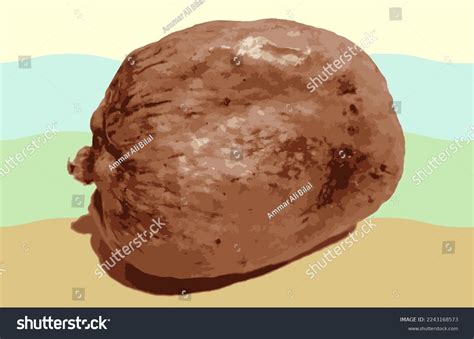 Illustration Doum Fruit On Stylized Background Stock Vector Royalty Free 2243168573 Shutterstock