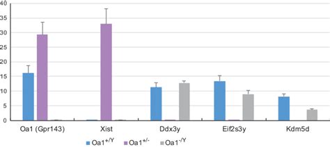 expression levels of oa1 gpr143 xist x inactive specific