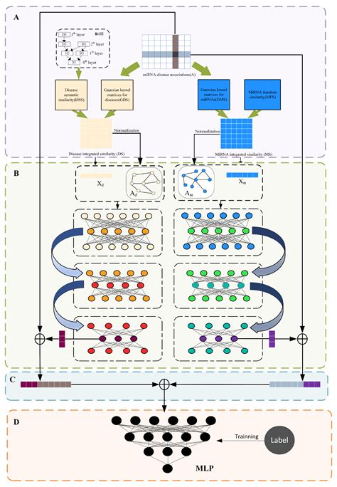 Cells Free Full Text Sgaemda Predicting Mirna Disease Associations
