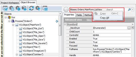 Addressing Objects In Cbuilder Applications Testcomplete Documentation