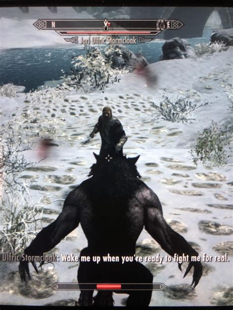 Was Running Outside Of Windhelm Doing Werewolf Things Then Attacked By A Wild Jarl R Skyrim